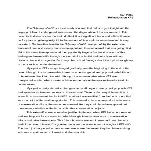 Reflection - Carl Potter | PDF