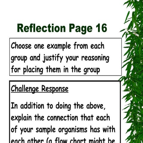 Reflection Page 16 | PPT