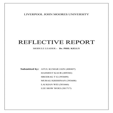 Reflection Report - Dyson Case Study | PDF