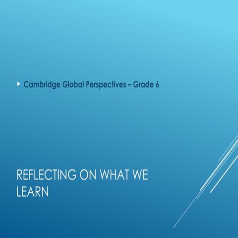 global perspective Reflection_Lesson_Grade6 (1).pptx