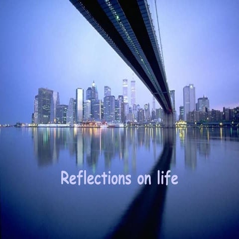 Reflection of Life | PPS