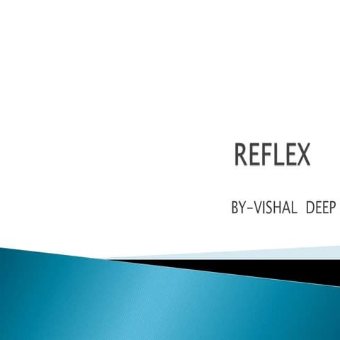Crossed extention reflex | PDF