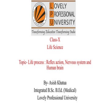 Reflex action, Nervous system and human brain .pptx