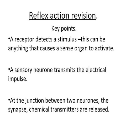 Reflex Action Revision | PPT