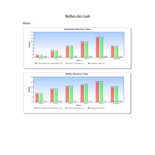 Reflex Arc Lab | DOC