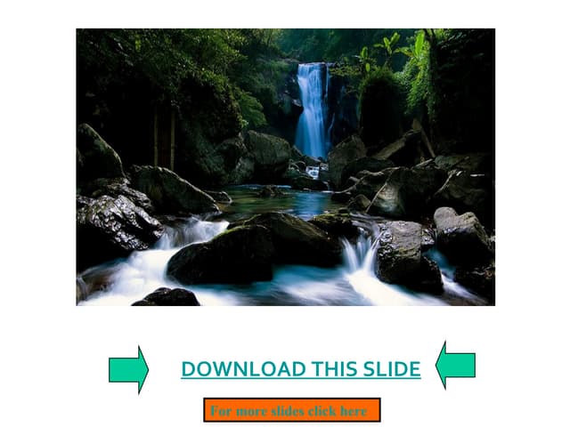 The Nervous System Parts And Functions | PPT