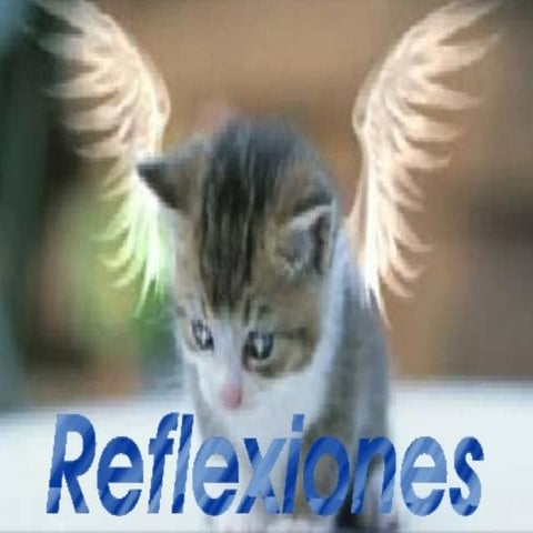 Reflexiones de la vida | PPTX