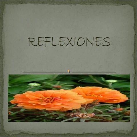Reflexiones | PPT