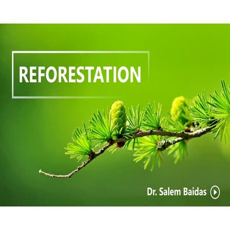 Reforestation | PDF