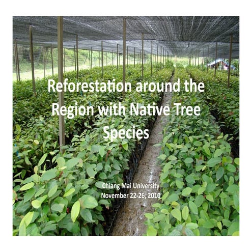 CHIANG MAI COURSE - Reforestation around the region with native tree ...