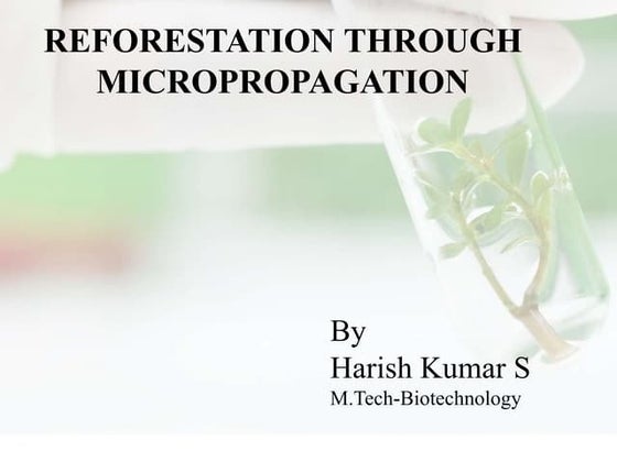 Micropropagation | PPTX