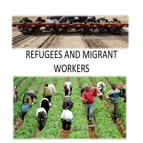 Refugees and migrant workers | PPTX