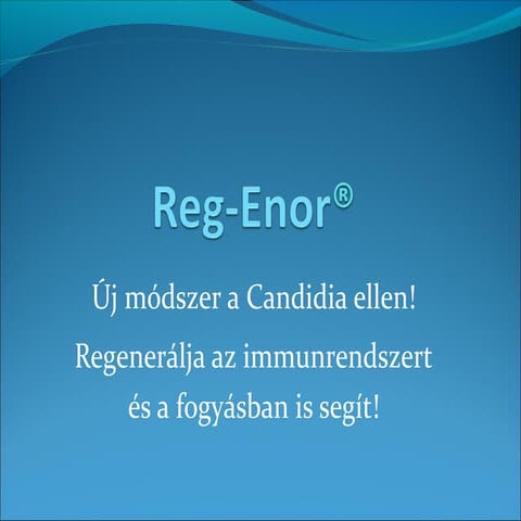Reg-Enor bemutató | PPT
