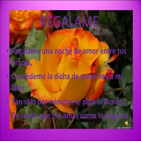 Regalame | PPS