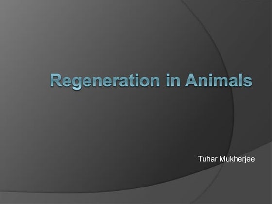 Regeneration, Types of Regeneration,Invertebrates&Vertebrates sp ...