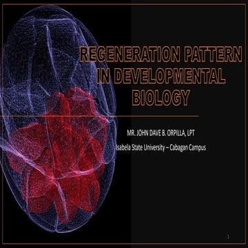 regeneration pattern | PPTX