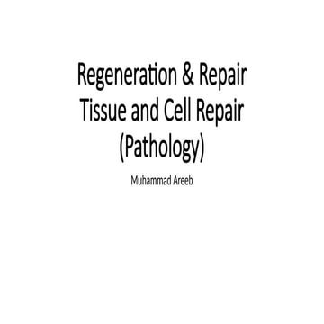 Tissue repair, regeneration and wound healing (1) | PPT