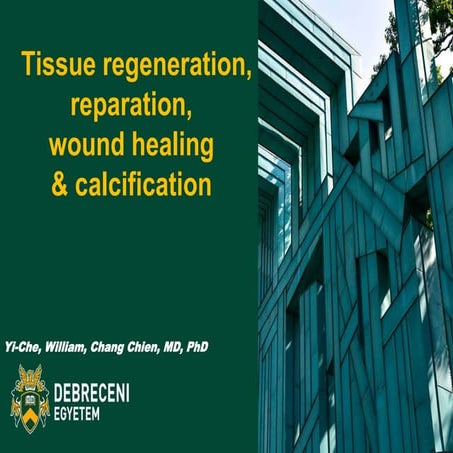Regeneration Repair-Eng.pptx