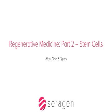 Regenerative medicine part 2 - stem cells | PDF