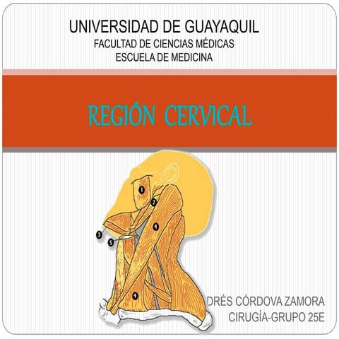 Región Cervical | PPTX