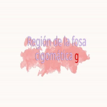 ANATOMIA - Region Cigomatica | PDF