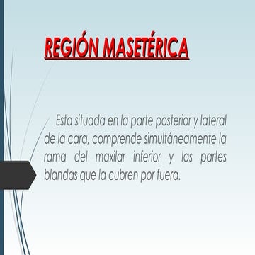 Anatomía de la Región Maseterina | PPTX
