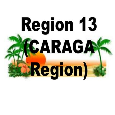 Region 13 | PPTX