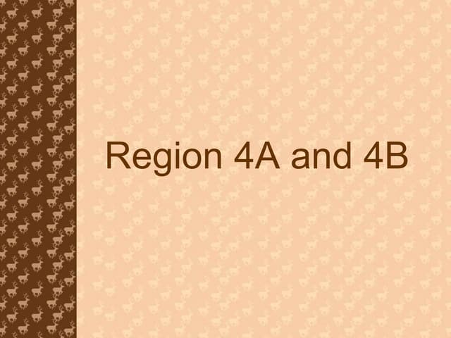 Region 4a CALABARZON (1).pptx