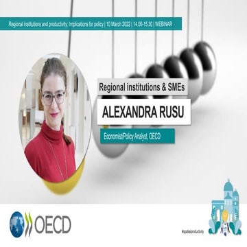 Regional institutions and SMEs - Alexandra Rusu | PDF | Business ...