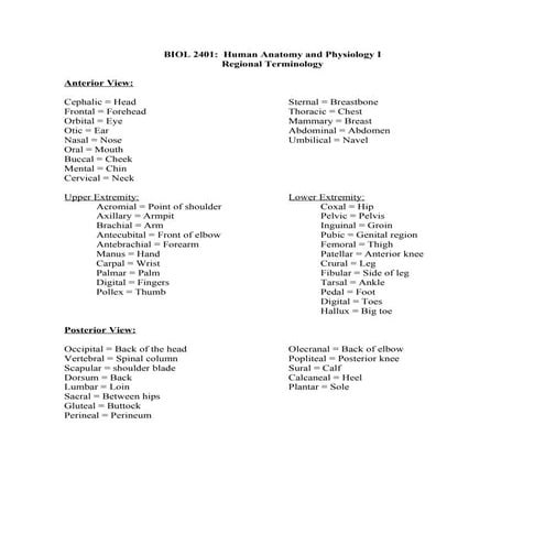 Regional Terms Anatomy