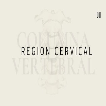 Columna vertebral (región cervical) | PDF