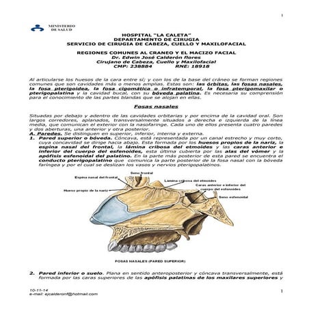 ANATOMIA - Region Cigomatica | PDF