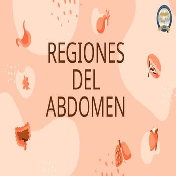 REGIONES DEL ABDOMEN y partes del abdomen .pptx