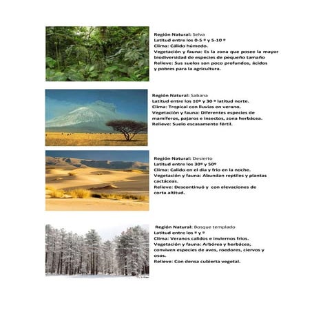 Que Son Las Regiones Naturales