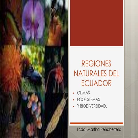 Regiones naturales del ecuador | PPTX