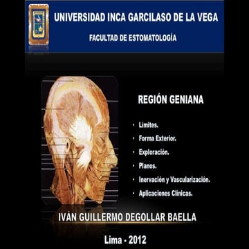 REGIÓN GENIANA | PPTX