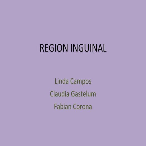 Region Inguinal | PPT