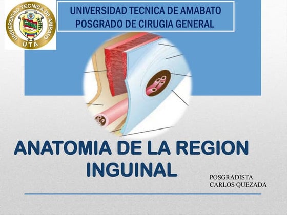 Anatomia y fisiologia de la region inguinal | PPT