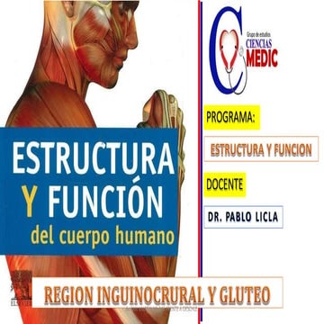 REGION INGUINOCRURAL- GLUTEO - NERVIO CIATICA | PPTX
