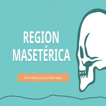 REGION MASETERINA ANATOMIA HUMANA DE RUVIER | PPTX