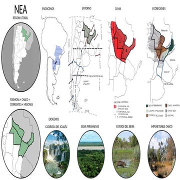 region nea Argentina. Flora, fauna, analisis | PPTX