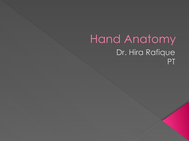 4. spaces of the hand & its applied anatomy[1] | PPT