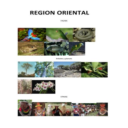 region oriente | DOCX