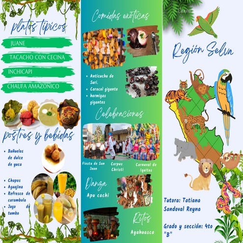 region selva (1).pdf