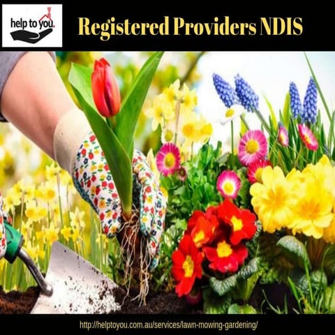 Registered ndis provider | PPTX