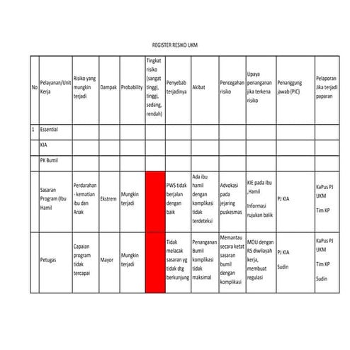 REGISTER RESIKO UKM.docx