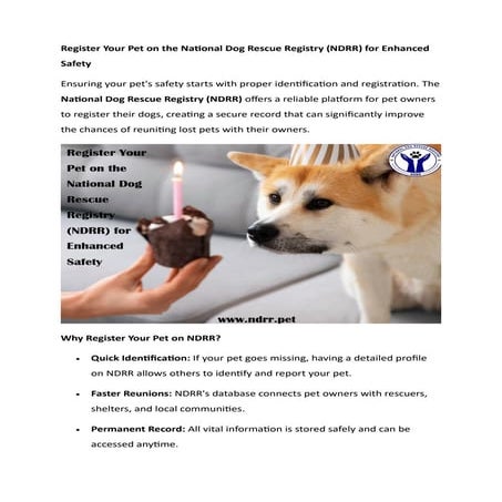 Register Your Pet on the National Dog Rescue Registry NDRR for Enhanced ...