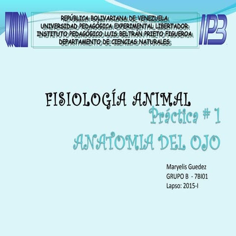 Disección de ojo de vaca. | DOCX