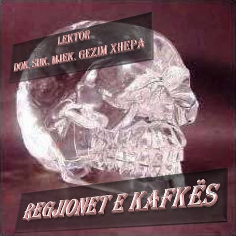 Skeleti i njeriut | PPTX