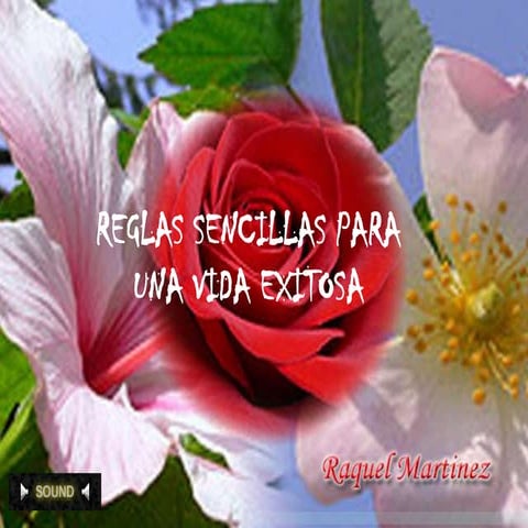 Reglas sencillas para una vida exitosa | PPT